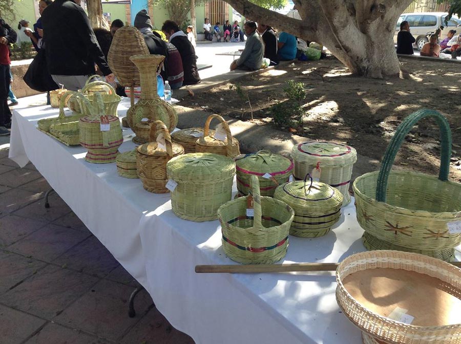 Presentan a lo mejor de la cestería guanajuatense – gtoviaja