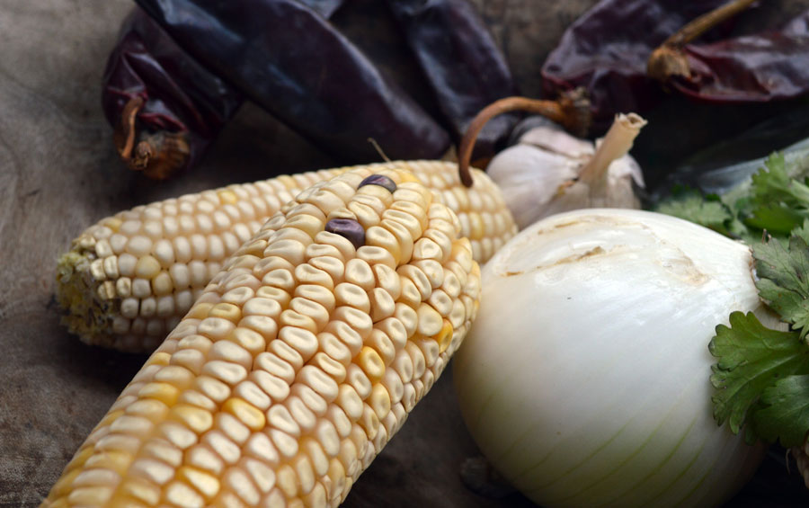 Realizan el XV concurso de Comida Tradicional Chichimeca – gtoviaja